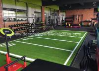 China Latex Backing Artificial Indoor Grass Carpet For Gym OEM ODM for sale