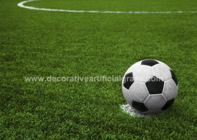 China Polyurethane Backing Artificial Synthetic Grass Football Field Turf OEM ODM for sale