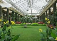 China Gauge 3/8 5/8 3/16 Outdoor Decorative Artificial Grass Carpet for sale