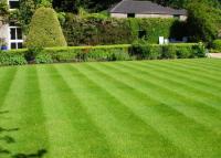 China PE+PP Synthetic Decorative Artificial Grass Lawn For Outdoor Yard Garden for sale