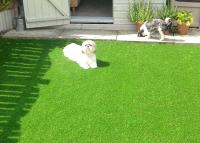 China Pet-Friendly Artificial Playground Padded Turf For Dogs UV Resistant for sale