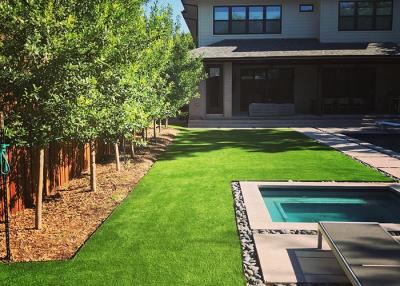 China BSCI No Toxic Chemicals Artificial Grass Around Pool For Patio for sale