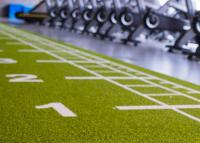 China Athletic Workout Fitness Training Artificial Grass Turf For Gym OEM ODM for sale
