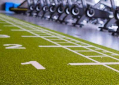 China Athletic Workout Fitness Training Artificial Grass Turf For Gym OEM ODM for sale