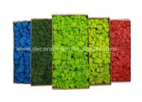China Environmental-Friendly Silk PE Faux Fake Moss Wall Art Panels 450g/Set for sale