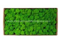 China Environmental-Friendly Silk PE Faux Fake Moss Wall Art Panels 450g/Set for sale
