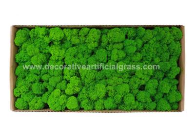 China Environmental-Friendly Silk PE Faux Fake Moss Wall Art Panels 450g/Set for sale