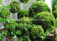 China 40*60cm Moss Hanging Ball Decorative Faux Moss Balls Dirty-Resistant for sale