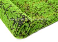 China Pearl Cotton EPE Artificial Moss Mat 100cm*100cm Fake Moss Carpet for sale