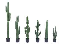 China Eco-Friendly Plastic PE Faux Ever Greenery Fake Cactus Plant OEM ODM for sale