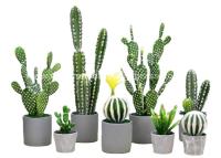China Indoor Realistic Faux Greenery Potted Plants 8*15cm 10*15cm 10*18cm for sale