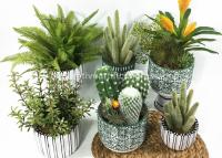 China Greenery Fake Faux Potted Floor Plants Used In Windowsill Bookshelf for sale