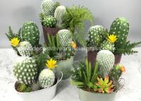 China Greenery Fake Faux Potted Floor Plants Used In Windowsill Bookshelf for sale