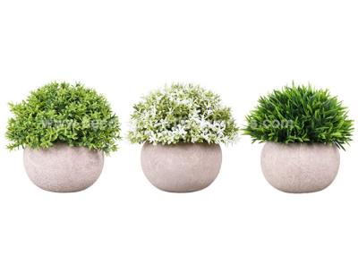 China SVHC Artificial Potted Floor Plants Indoor Greenery 8*15cm 10*18cm for sale