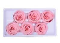 China Dehydrated Eternal Long Lasting Roses In A Box Non-Toxic for sale