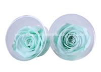 China Ecuador Preserved Rose Head Long Life Roses For Party Event Decoration for sale