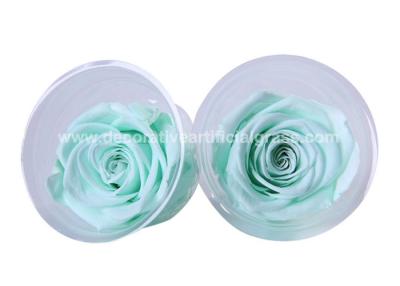 China Ecuador Preserved Rose Head Long Life Roses For Party Event Decoration for sale