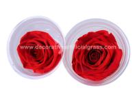China Ecuador Preserved Rose Head Long Life Roses For Party Event Decoration for sale