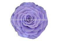 China 100% Real A Grade Preserved Long Lasting Rose Flower For Wedding Decoration for sale