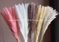 China Eco-Friendly Preserved Fresh Flowers Silk Pampas Grass Wedding Bouquet for sale