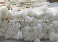 China Eco-Friendly Preserved Fresh Flowers Silk Pampas Grass Wedding Bouquet for sale