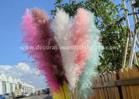 China 30cm 45cm 50cm Preserved Fresh Flowers Pampas Grass Natural Dried for sale