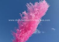 China DIY Projects Preserved Fresh Flowers Pampas Dried Decor OEM ODM for sale