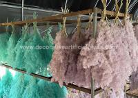 China 40cm 50cm 60cm Preserved Fresh Flowers Natural Dried Fluffy Pampas Grass for sale