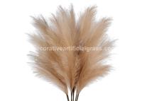 China Natural Pampas Grass Decor Preserved Fresh Flowers For Dropshipping for sale