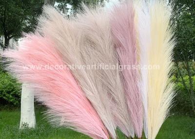 China 60cm Preserved Fresh Flowers Home Decor Natural Dried Pampas for sale