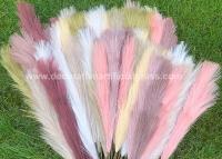 China 60cm Preserved Fresh Flowers Home Decor Natural Dried Pampas for sale