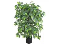 China 5 Feet Artificial Decoration Plants Evergreen Fake Silk Ficus Tree With Plastic Base for sale