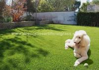 China No Fading Lead-Free Non-Toxic Soft Fake Artificial Grass For Pets for sale