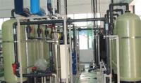 China Power Plant Steam Boiler Water Treatment EDI RO Water Treatment System for sale