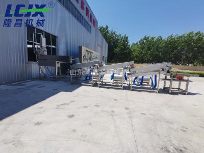 China Food Grade Stainless Steel Automatic Sesame Washing Dewatering Roasting Production Line for sale