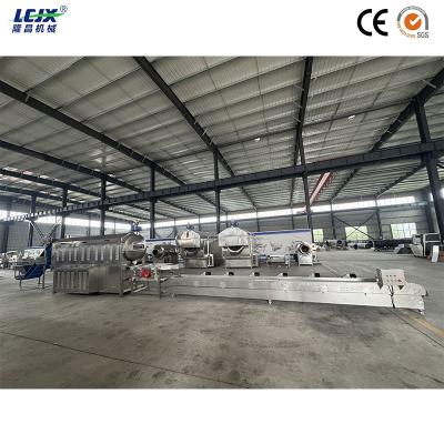 China High Efficiency Food Grade Nut Roaster Line Elevator Roaster Cooler System Production Line for sale
