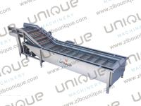 China Industrial Fruit and Vegetable Bubble Washing Machine for Lemon Pineapple Passion Fruit for sale