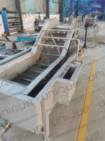 China Industrial Fruit and Vegetable Bubble Washing Machine for Lemon Pineapple Passion Fruit for sale