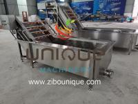 China Industrial Fruit and Vegetable Bubble Washing Machine for Lemon Pineapple Passion Fruit for sale
