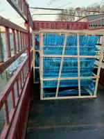 China Electric Boot Dryer Rack for Disinfection and Dehumidification of Hiking Boots for sale