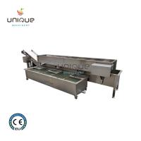 China Design Alfalfa / Micro Greens Vegetable Bubble Washing Machine for Food Beverage Shops for sale