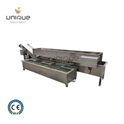 China Design Alfalfa / Micro Greens Vegetable Bubble Washing Machine for Food Beverage Shops for sale