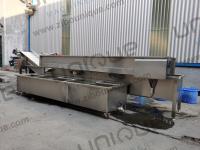 China Design Alfalfa / Micro Greens Vegetable Bubble Washing Machine for Food Beverage Shops for sale