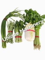 China Retail Vegetable celery Yardlong bean multi purpose tape binding bundling machine wrappers for sale