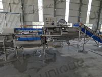 China Salad Leaf Vegetable Processing Line Take Your Salad Production to the Next Level for sale