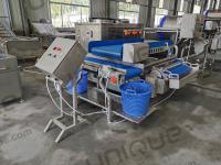China Salad Leaf Vegetable Processing Line Take Your Salad Production to the Next Level for sale