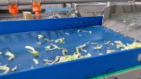 China Salad Leaf Vegetable Processing Line Take Your Salad Production to the Next Level for sale