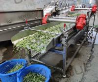 China Zibounique 5900*1760*1600 mm Mung Bean Sprout Husk Removing and Skin Peeling Machine for sale