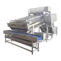 China 300 kg/h Capacity Shrimp Skin Peeling Machine with State-of-the-Art Cleaning System for sale