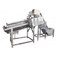 China 300 kg/h Capacity Shrimp Skin Peeling Machine with State-of-the-Art Cleaning System for sale